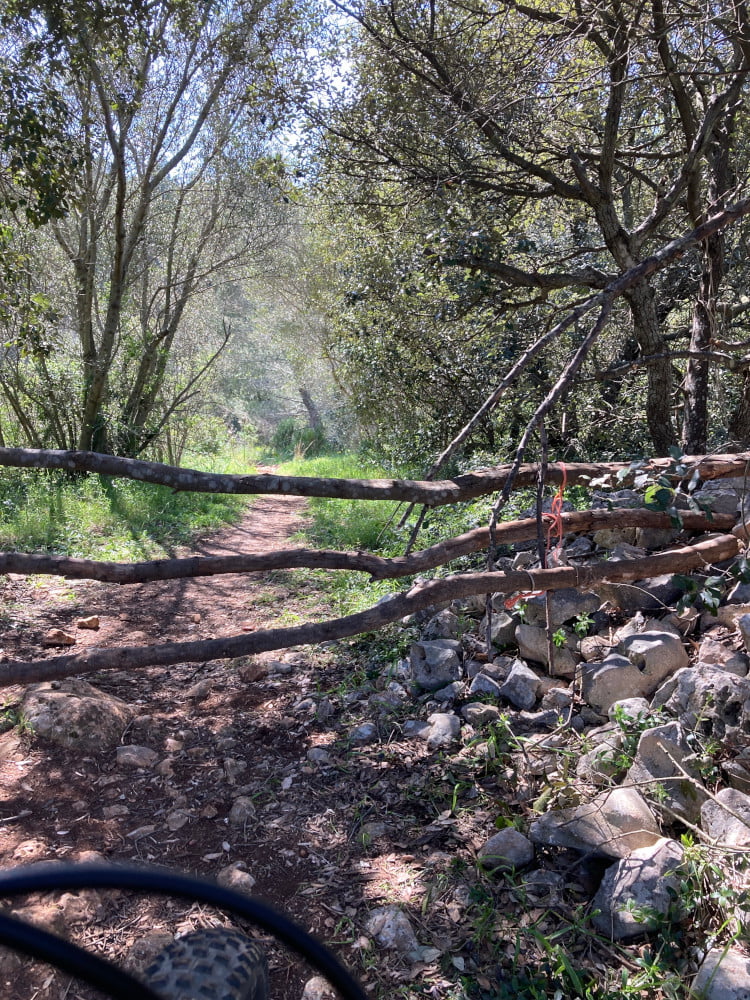 Crispiano e Riserva naturale Bosco delle Pianelle | Puglia e-bike adventure